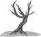 Climate Connections