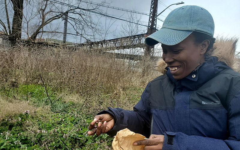 How to forage: A guide to foraging in New York City | Fix