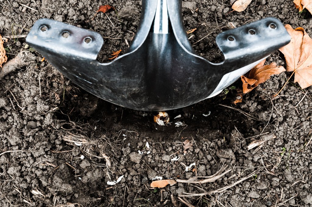 The Indigenous tribe reviving native camas and the prairies that ...