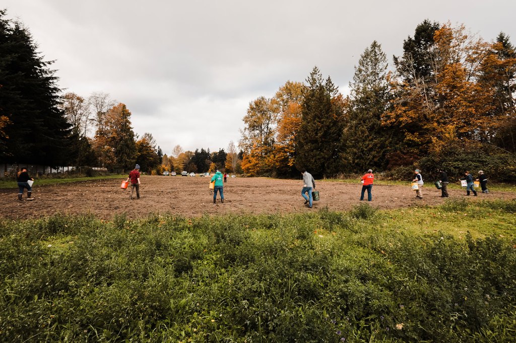 The Indigenous tribe reviving native camas and the prairies that ...