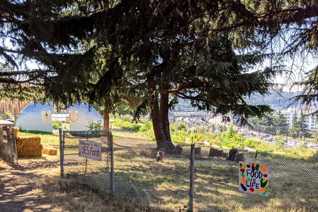At an urban farm, a community connects to their food and to each other ...