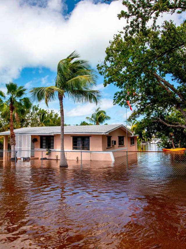 23 Predictions for 2023: Climate progress in the year ahead | Fix