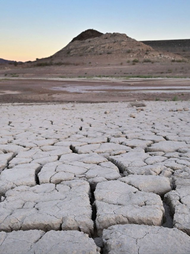 23 Predictions for 2023: Climate progress in the year ahead | Fix