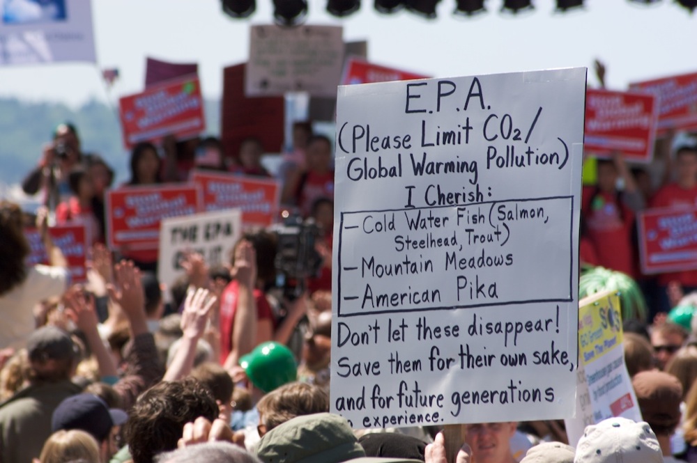 'Regular people' cheer on climate action at Seattle rally | Grist