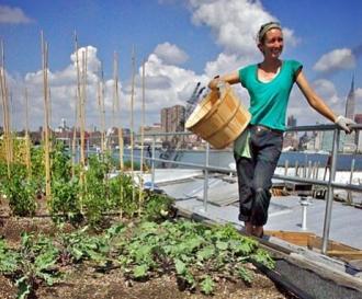 New Agtivist: Urban farmer Annie Novak aims sky high | Grist