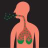A new way to grow peas: in your lungs | Grist