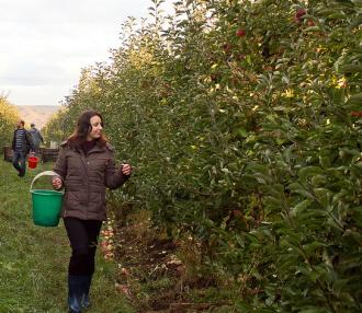 Into the woods: Seattle plants a public food forest | Grist