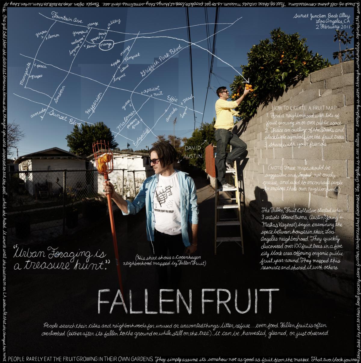 Lexicon of Sustainability: Fallen fruit | Grist