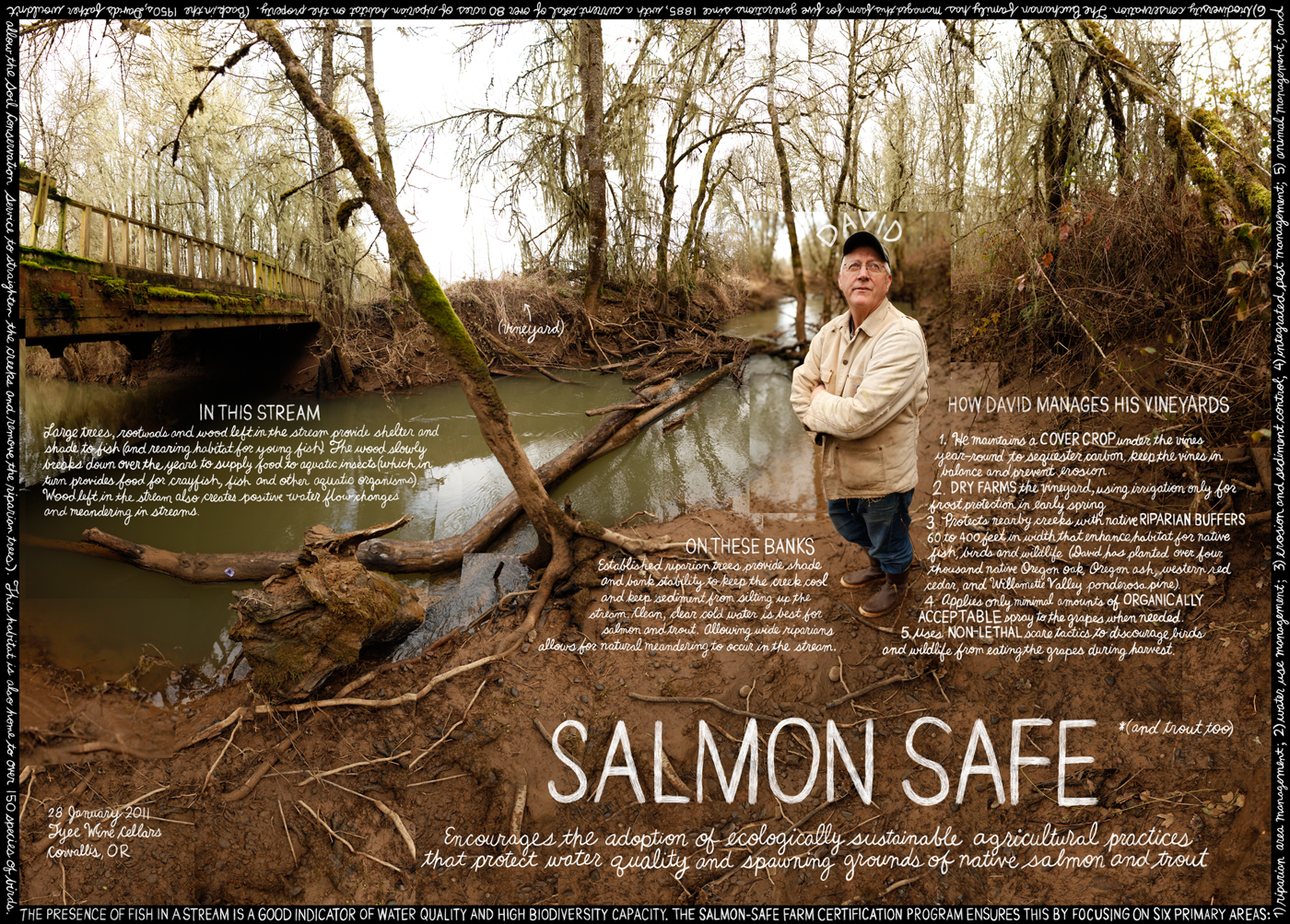 Lexicon of Sustainability: Salmon-safe | Grist