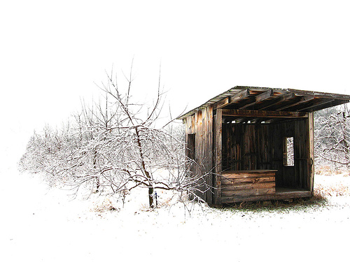 Why farms want cold winters | Grist