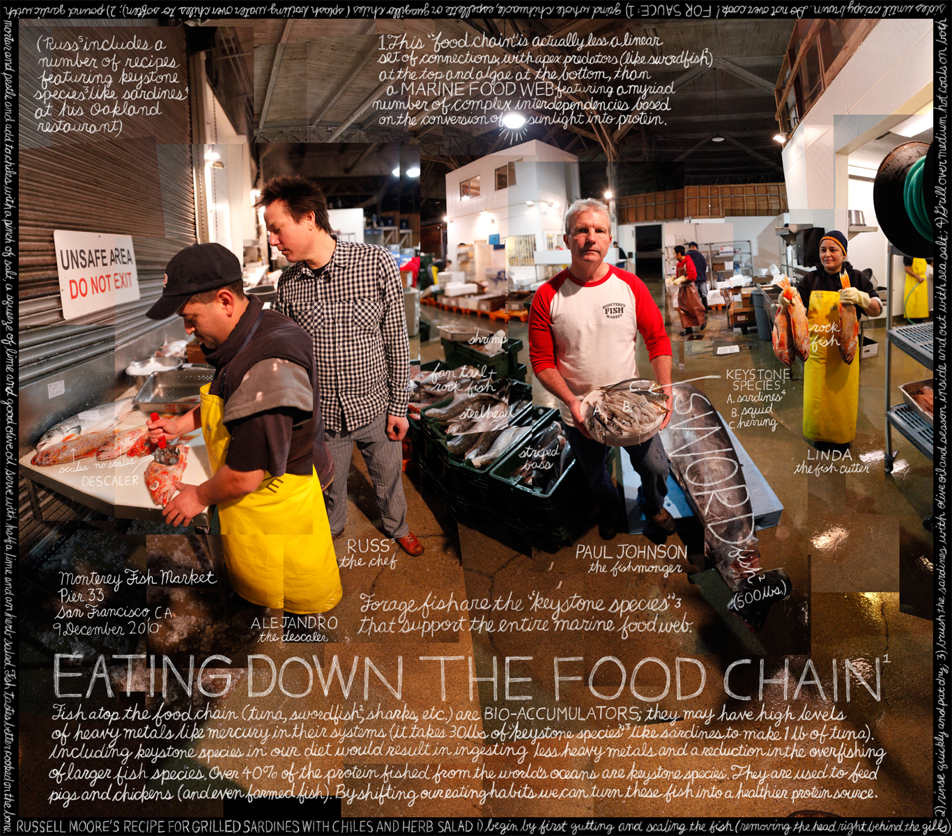 Lexicon of Sustainability: Eating down the food chain | Grist