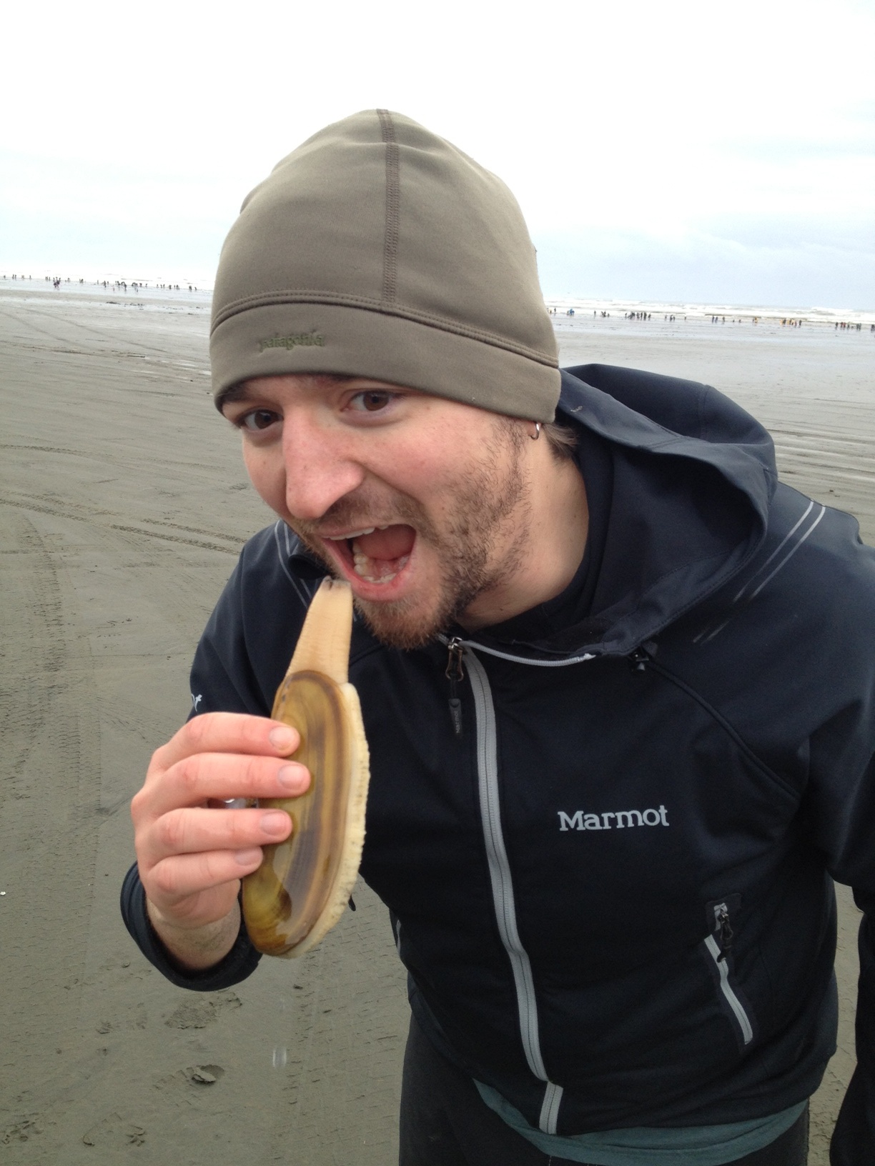 Hard to stomach: How a fresh clam feast got the best of me | Grist