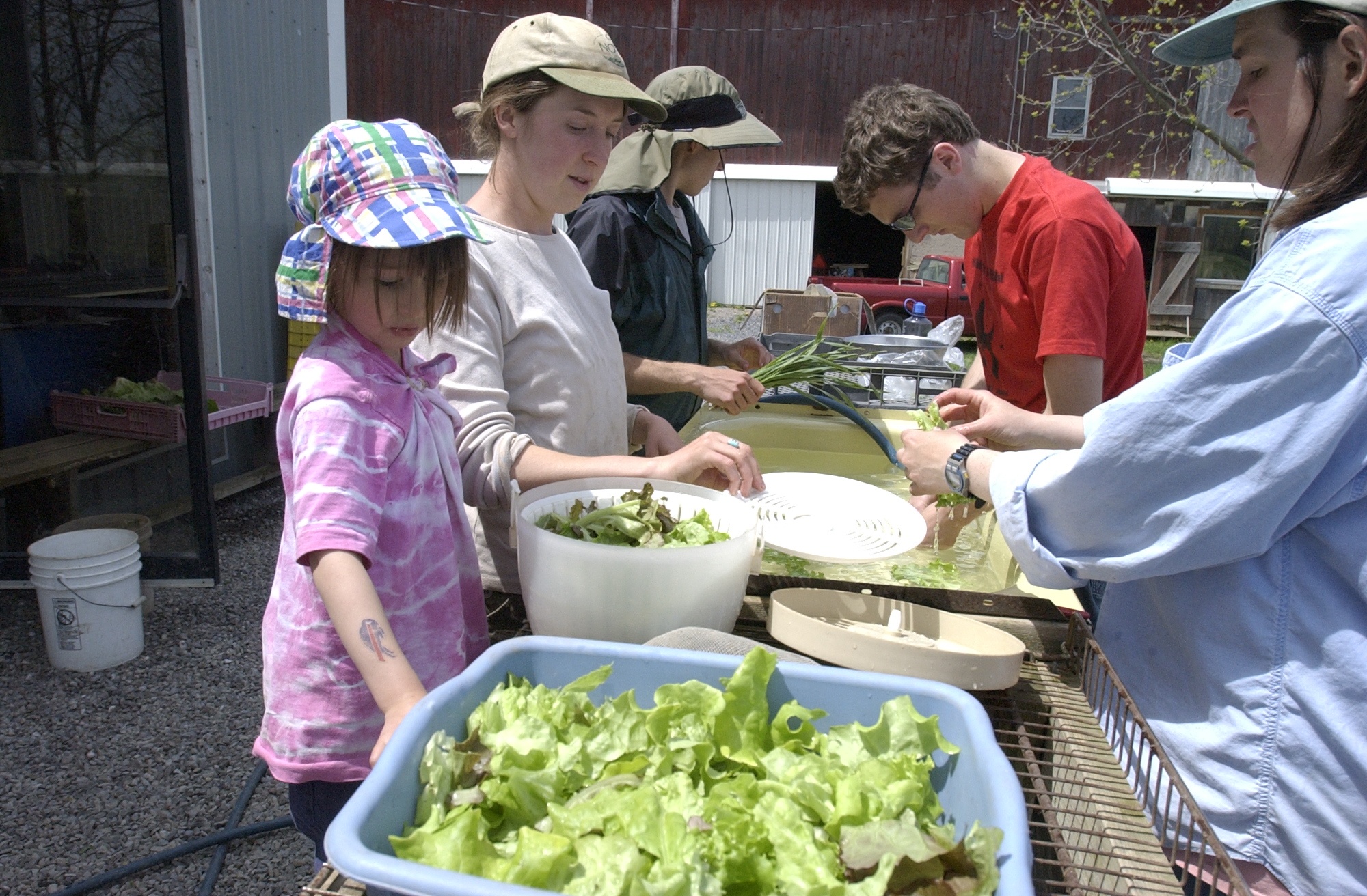 Farm-connected CSAs should offer more than just 'veggie subscriptions ...