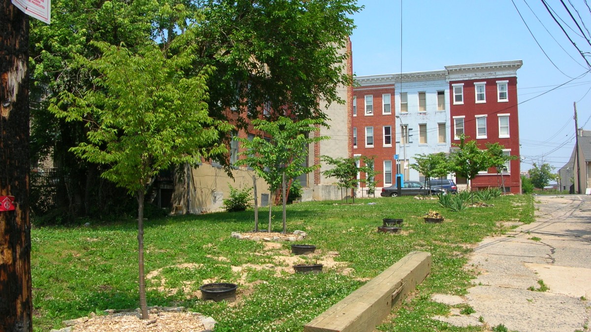 In Baltimore, the gods will not save you — but the trees will | Grist