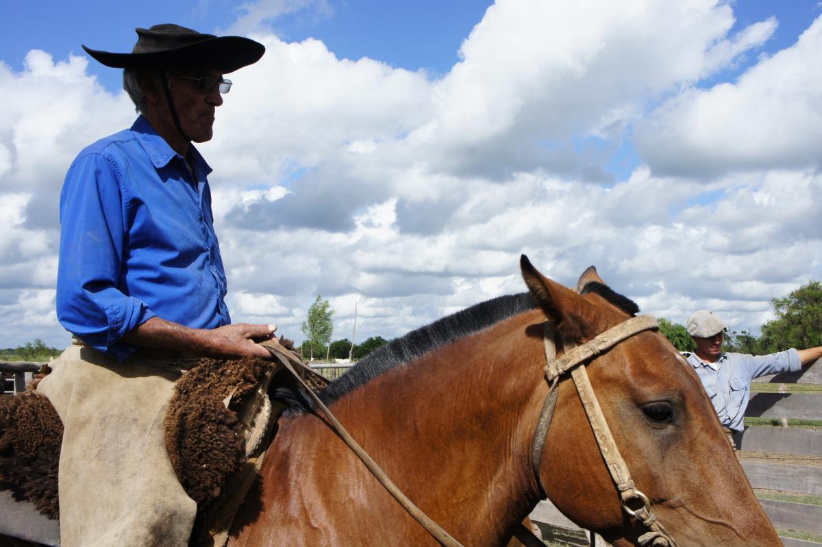 In Argentina, factory farms replacing grass-fed beef | Grist