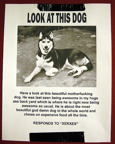 The 6 most awesome telephone pole signs | Grist