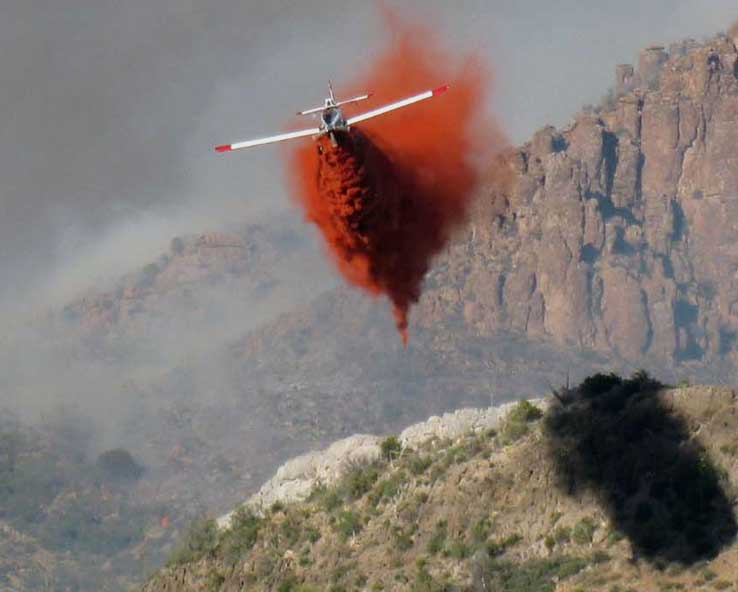 Fire retardants are great at killing forest fires, fish | Grist