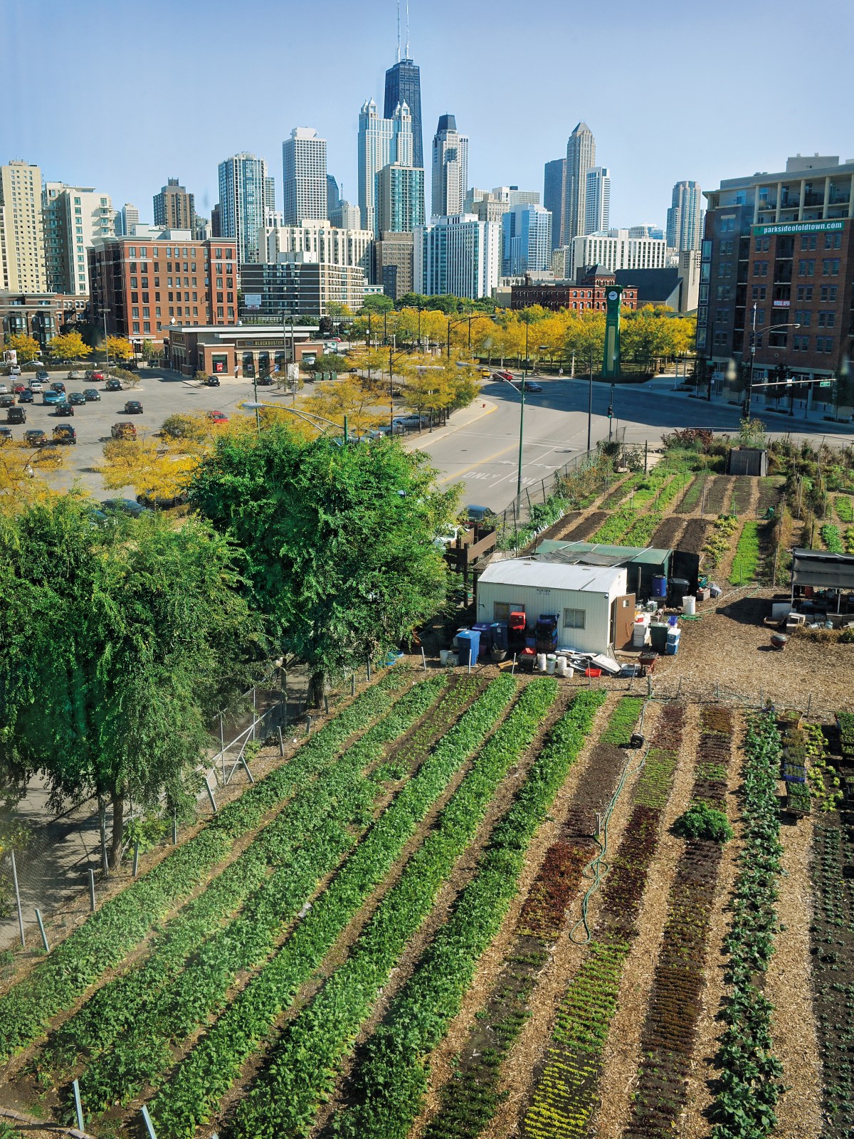 Chicago pot farm takes urban agriculture to its logical conclusion | Grist