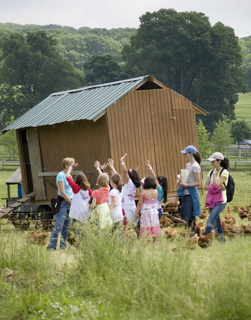 Playing with their food: Kids discover the fun of farming at camp | Grist