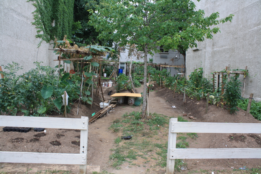 Counting the harvest: How numbers can save urban gardens | Grist