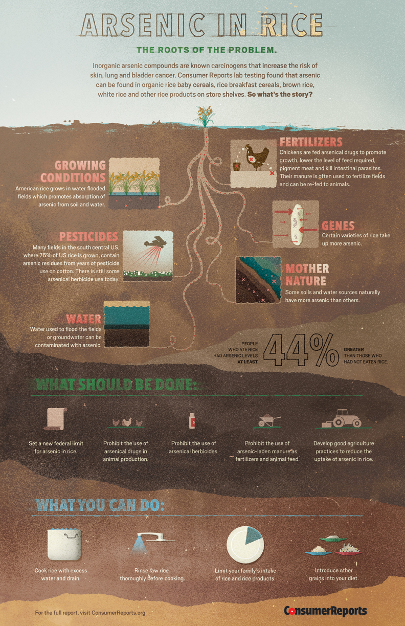 There's arsenic in your rice -- and here's how it got there | Grist