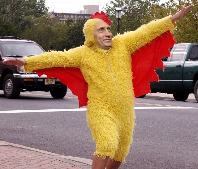Vladimir Putin dressed as a bird to save endangered cranes | Grist