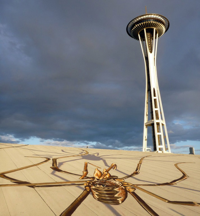 Giant daddy long-legs invade Seattle | Grist