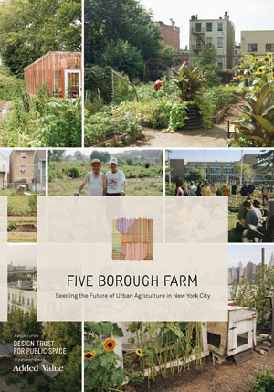 A road map for urban agriculture in N.Y.C. | Grist