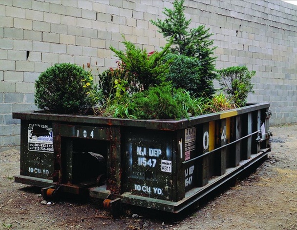 Dumpster gardens make your block look prettier because trees, and ...