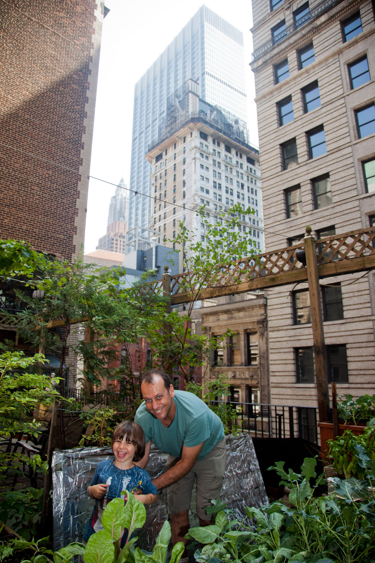 Ground Zero garden revisited: Remembering 9/11 with a homegrown meal ...