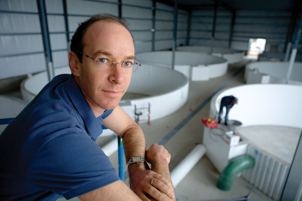 Miracle fish: Is the search for the perfect farmed seafood really over ...