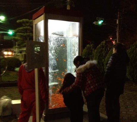 Old phone booths get new life as giant public fish tanks | Grist