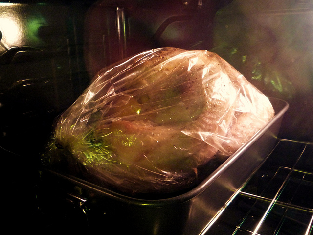 Ask Umbra: Is it safe to roast turkey in a plastic bag? | Grist