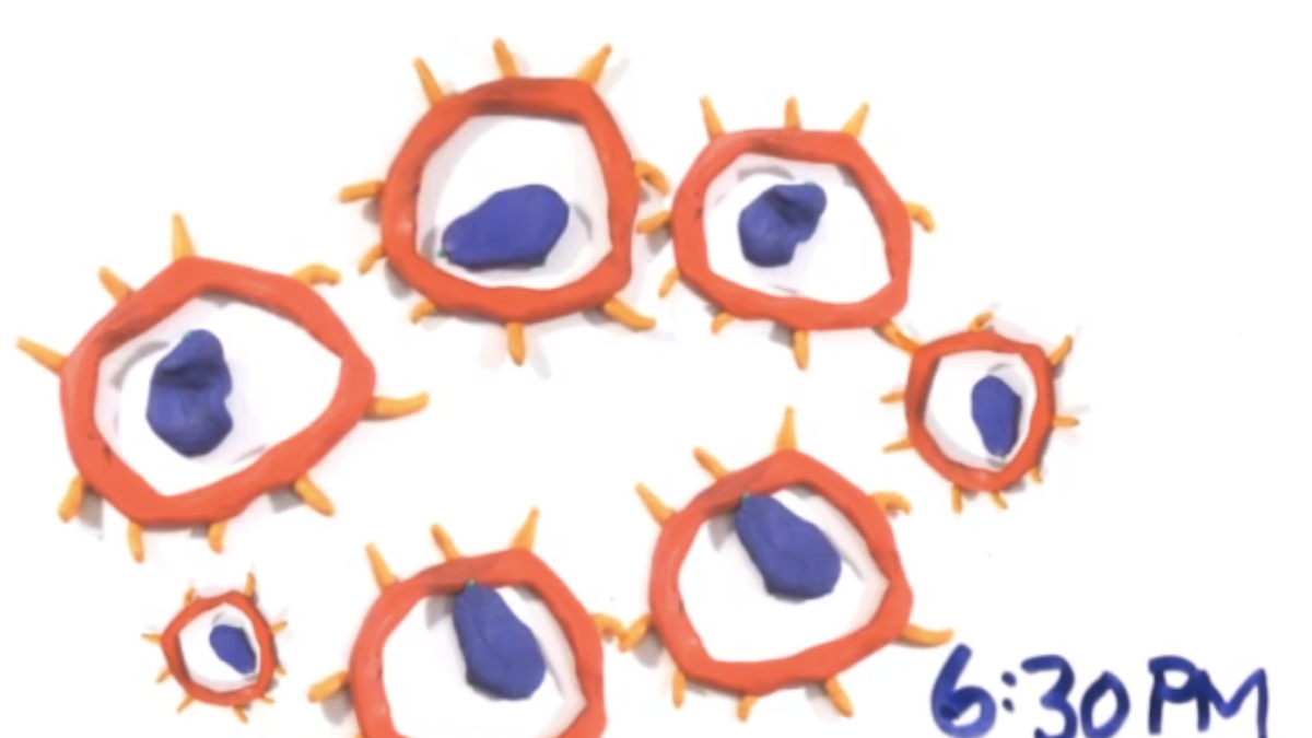 An animated history of all life on Earth in a single day | Grist