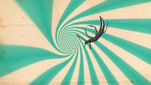 The unkillable tree lobster is getting its own animated film | Grist