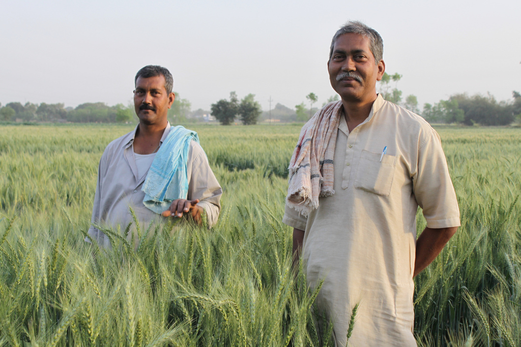 Miracle grow: Indian farmers smash crop yield records without GMOs | Grist