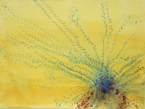 That's not just a bug, that's an amazing artist who happens to be a bug ...