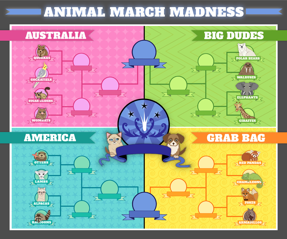 Help your favorite species win this March Madness tournament for best ...