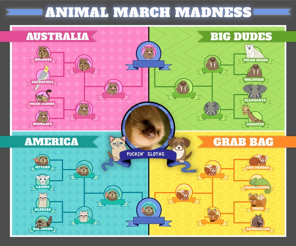 Help your favorite species win this March Madness tournament for best ...