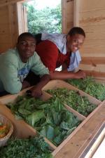 Chicago tackles the next big challenge in urban ag: Growing farmers | Grist