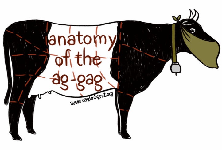 Anatomy of the ag-gag - Grist | Grist