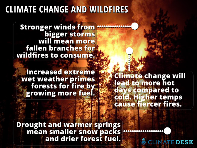 How climate change makes wildfires worse | Grist