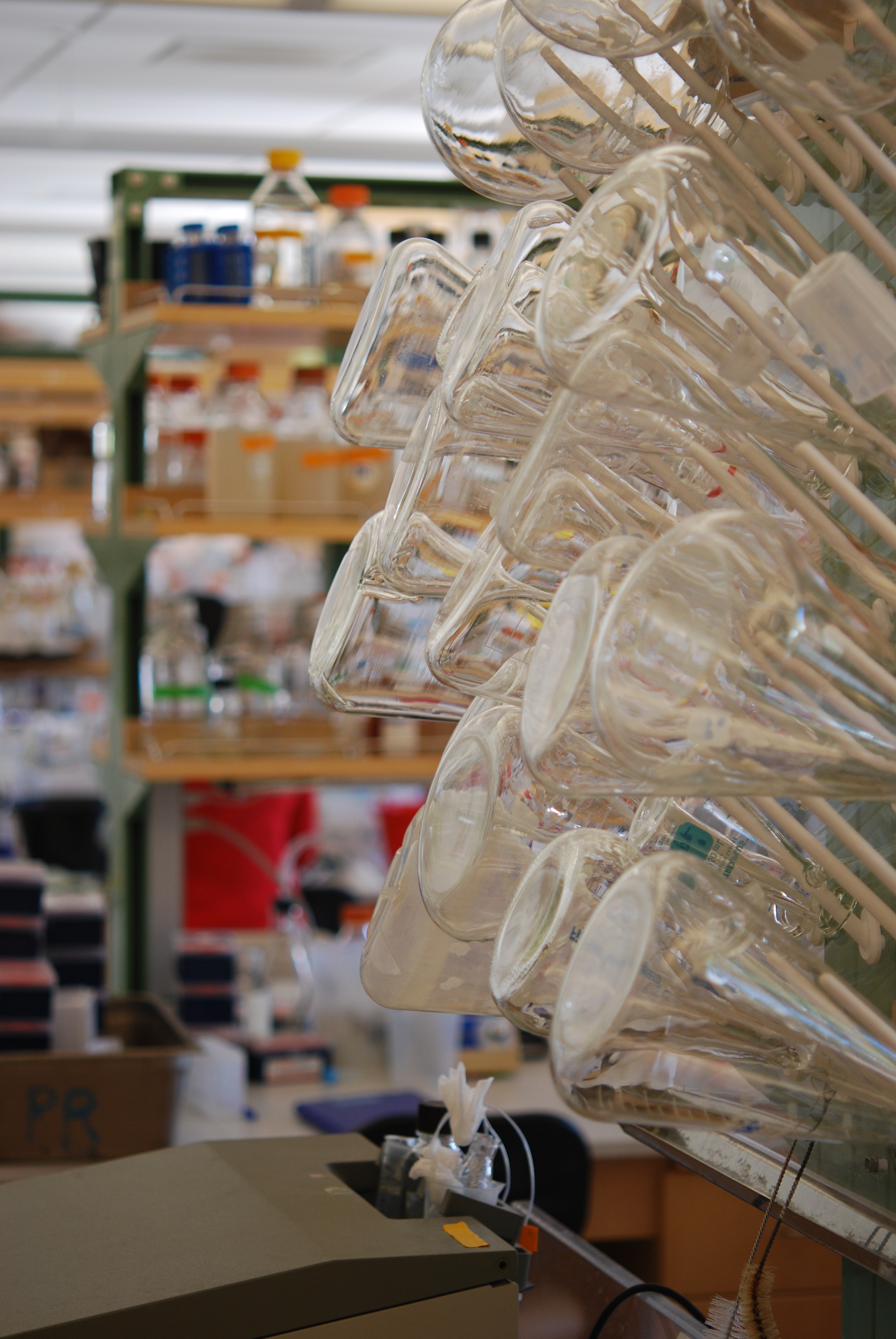 Genetic Engineering Vs Natural Breeding What S The Difference Grist