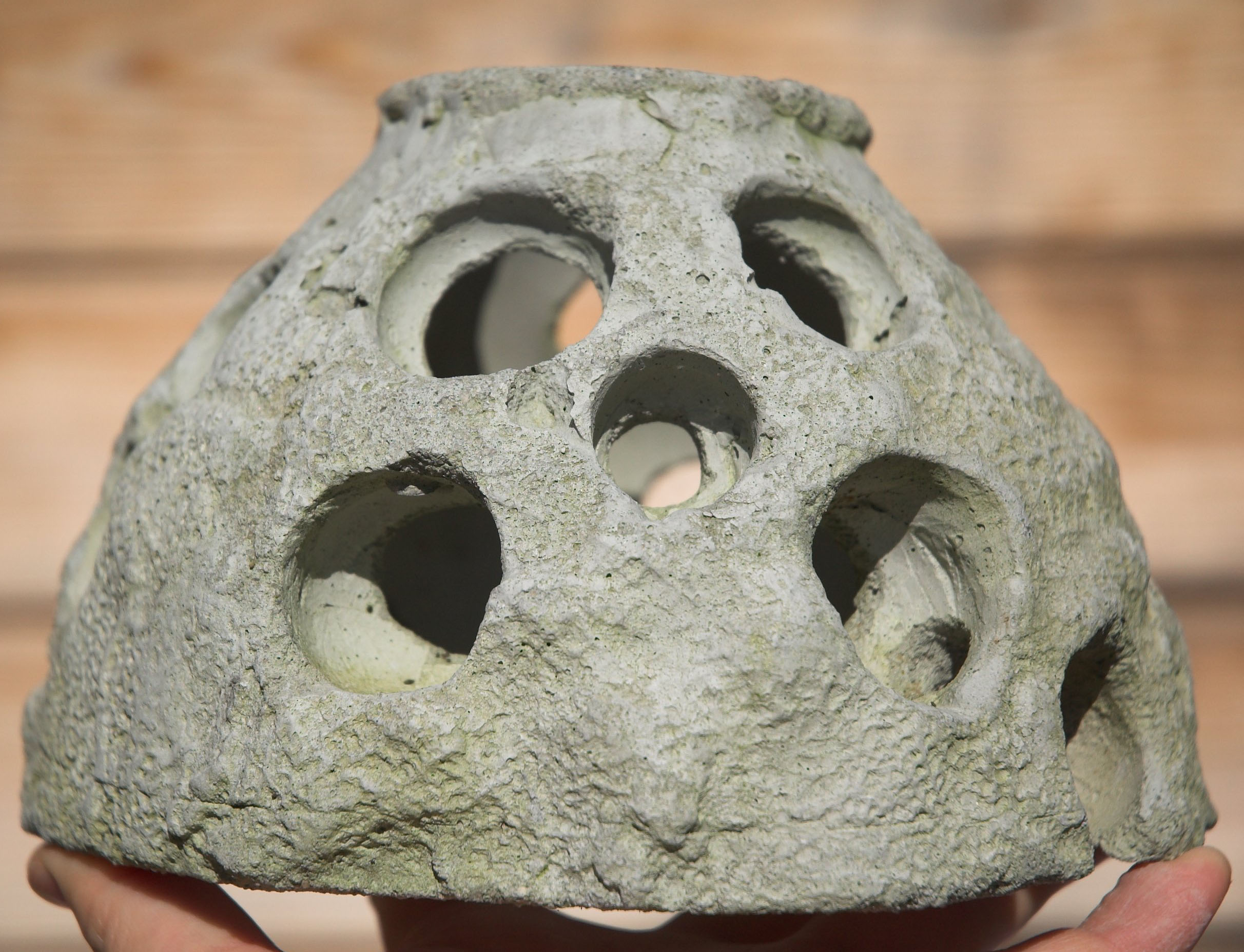 After you die, your remains can help save a coral reef | Grist