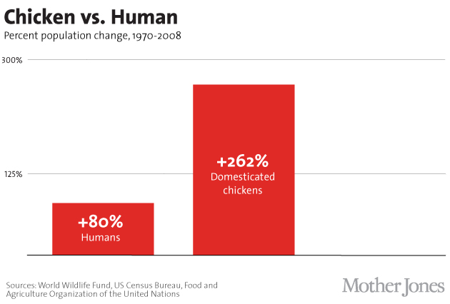 Has the world reached peak chicken? | Grist