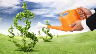 Are GMOs worth their weight in gold? To farmers, not exactly | Grist