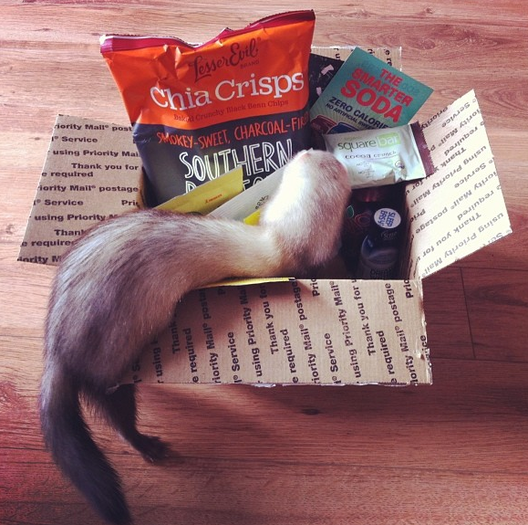 Now you can get vegan treats in the mail every month | Grist