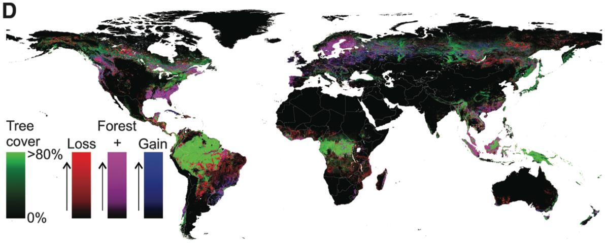 The world is still losing its forests, and these beautiful satellite ...