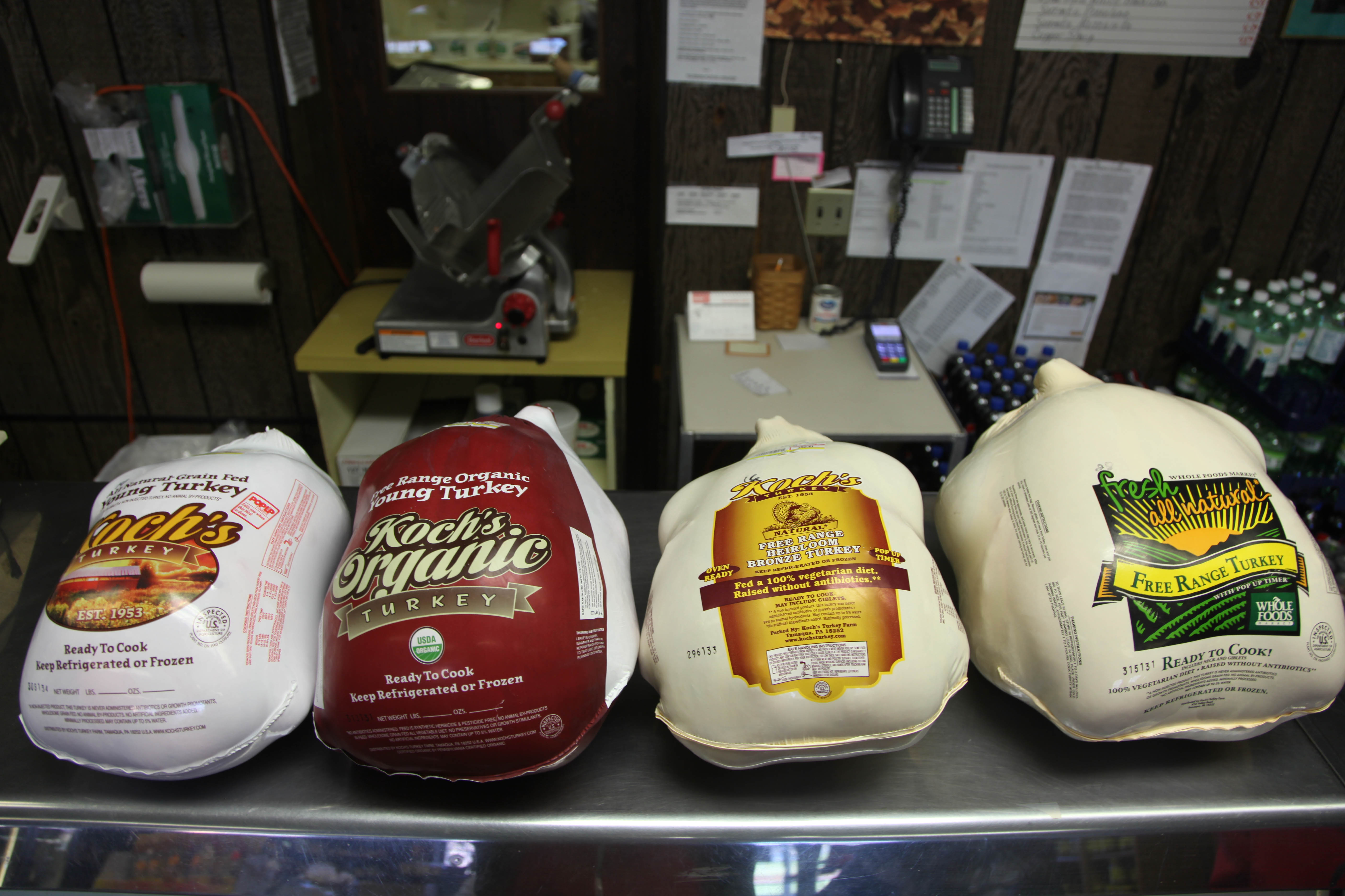 Calling fowl: How to pick the most humane turkey for Thanksgiving | Grist