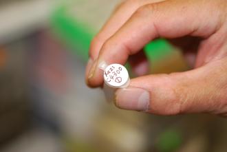 20 common questions about Genetically Modified Organisms (GMOs) | Grist